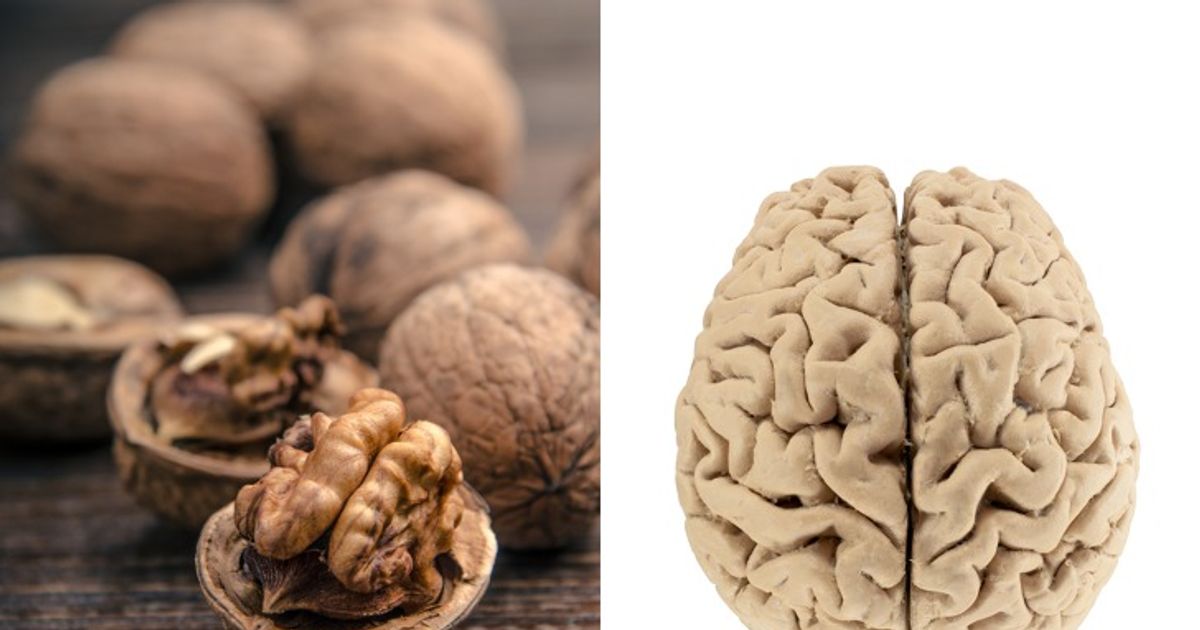 16 Foods That Look Like The Body Part They're Good For - Forkly