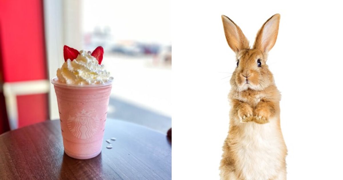 You Can Get A Secret Starbucks Easter Bunny Frappuccino Just In Time ...